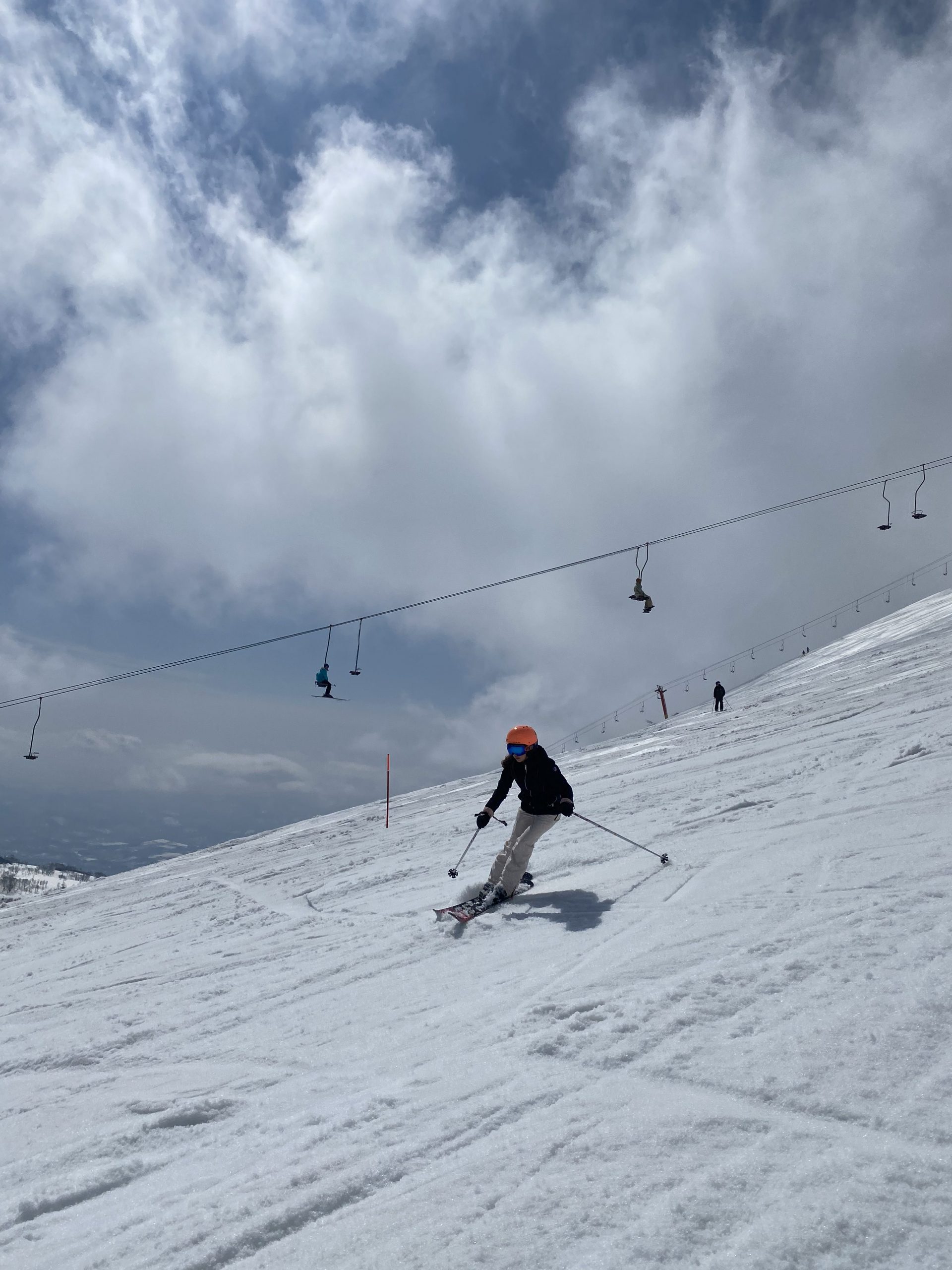 How to determine your ability level - True Niseko - Ski Lessons ...